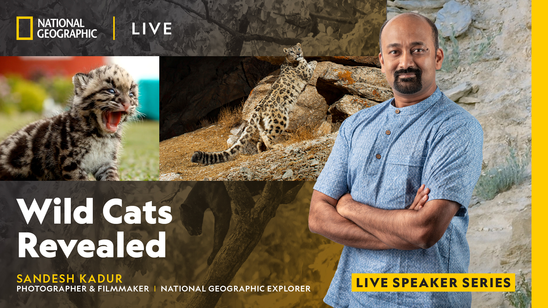 Wild Cats Revealed | National Geographic Live